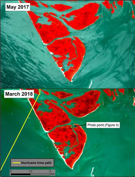 False Color Near Infrared Green Blue Band Combinaton Landsat