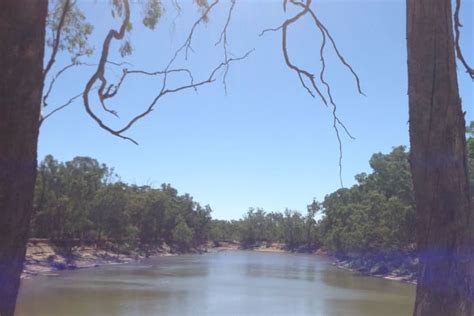 Gunbower State Forest Anycamp