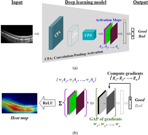 Schematic Illustration Of Generating Class Specific Good Grad Cam Download Scientific Diagram