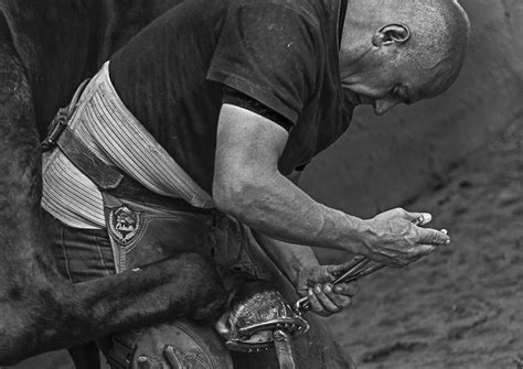 Manicura Equina Federación Andaluza De Fotografía