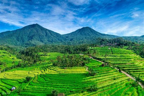 Jatiluwih Rice Terraces Electric Bike Tour In Bali Klook Hong Kong
