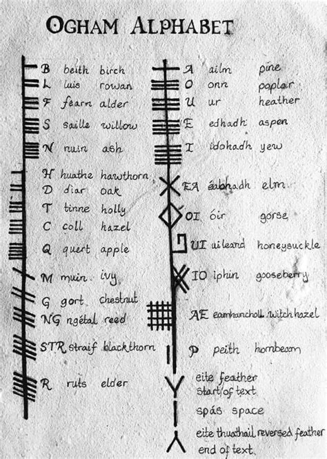 Pin By Jeannie Donnelly On W Love Our Worldtime To Get Greener