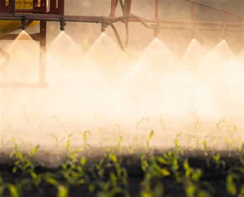 Reporting On The Impact Of Animal Agriculture Sentient Media