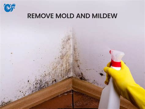 How To Clean Unfinished Basement Walls Tips Cfoc