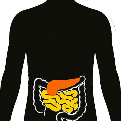 Lipase Test Ulta Lab Tests