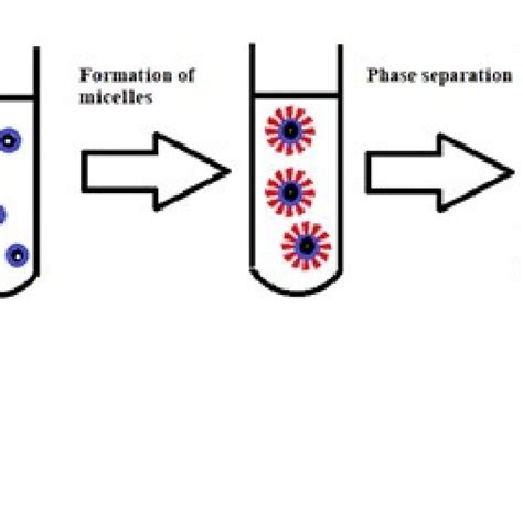 Spectrophotometric Determination After Cloud Point Extraction Of Th 25 Download Scientific