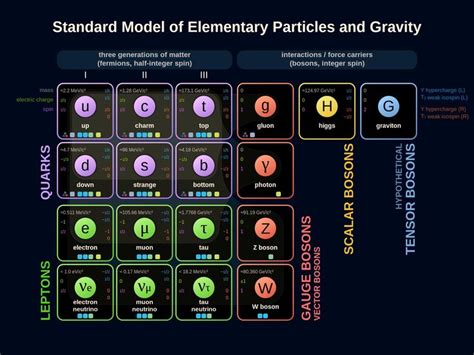 Filestandard Model Of Elementary Particles And Gravitysvg Wikipedia