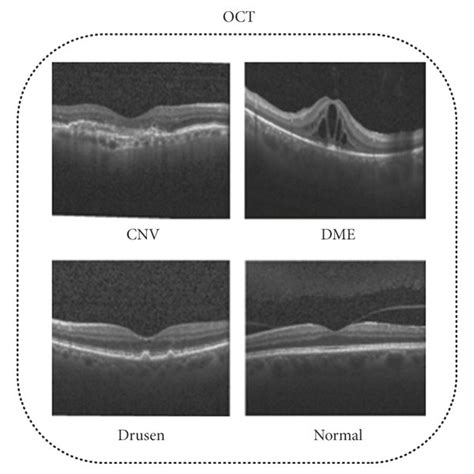Example Medical Image Samples For Classification Task From The Two Download Scientific Diagram