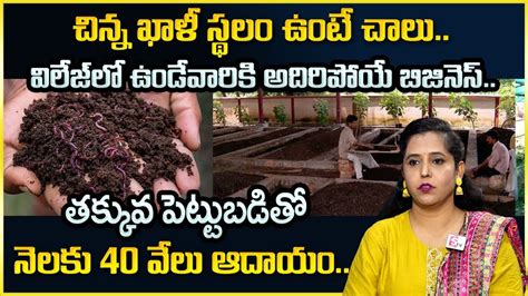 Vermicompost Business In Telugu How To Make Vermicompost In Telugu