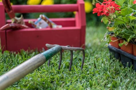 Premium Photo A Red Container With A Rake In The Grass Next To A Red Container With Red Flowers