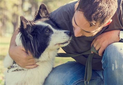 Homem Com Seu Cachorro Foto Premium