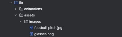 Unable To Load Image Asset In Flutter Stack Overflow