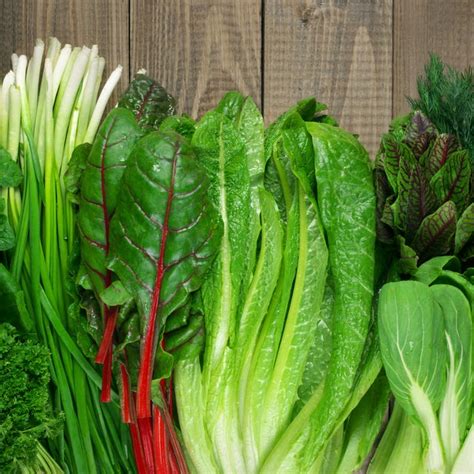 12 Most Nutritious Lettuces You Can Eat Greens And Lettuce Nutrition