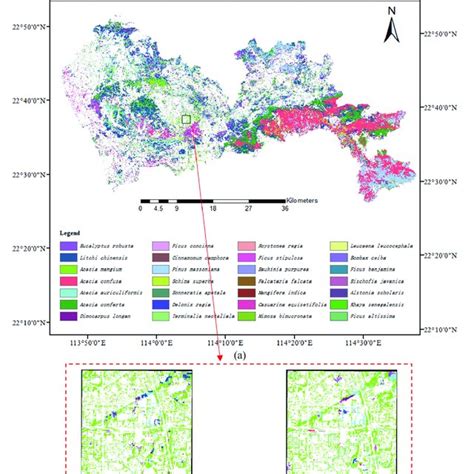 The Classification Results Of 28 Tree Species In Shenzhen Based On Download Scientific Diagram