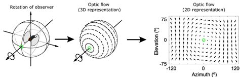 Optical Flow Revolutionizing Motion Detection
