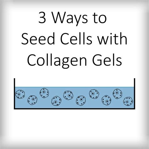 Cellculture Tissueengineering 3dbioprinting Advanced Biomatrix