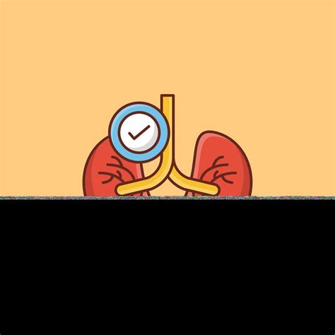 Lungs Care Anatomy System Vector Care Anatomy System Png And Vector