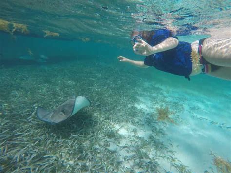 Caye Caulker 7 Stop Snorkeling In The Belize Barrier Reef Getyourguide