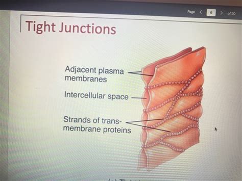Junctions Flashcards Quizlet Junctions Flashcards Quizlet