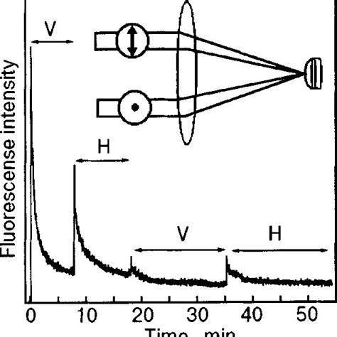 Birge Sponer Plot For Gas Phase I 2 Dashed Line And I 2 In Solid Ar Download Scientific