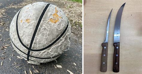 30 Examples Of Entropy In Action Ebaums World