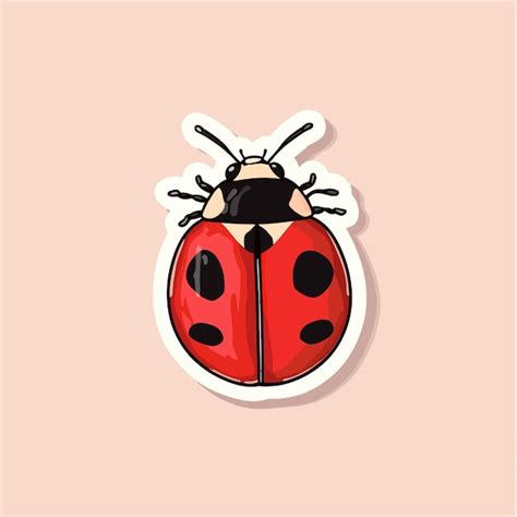 Ladybug Vector Cute Premium Ai Generated Vector Ladybug Vector Cute Premium Ai Generated Vector