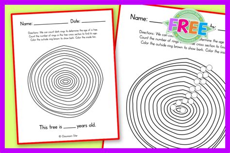 Arbor Day Tree Ring Counting Activity Classroom Star Worksheets