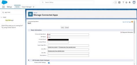 How To Create A Salesforce Connected App Softbuilder Blog