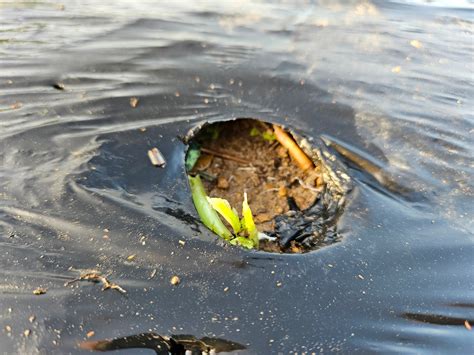 Knothole Farm Knothole Farm Added A New Photo