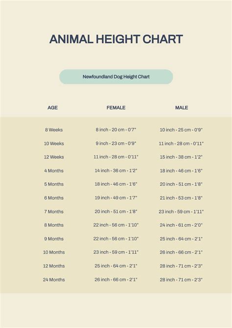 Height Chart Template