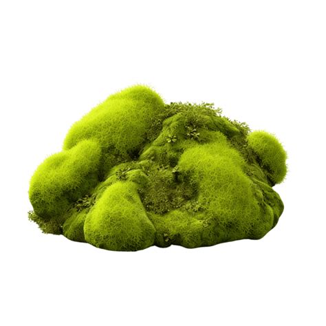 Page 4 Grass Wall Pngs For Free Download