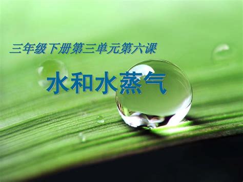 水和水蒸气word文档在线阅读与下载无忧文档