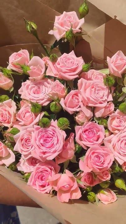 Букет рожевих троянд доставка доставкаквітів квіти букет квітирівне троянди Flowers