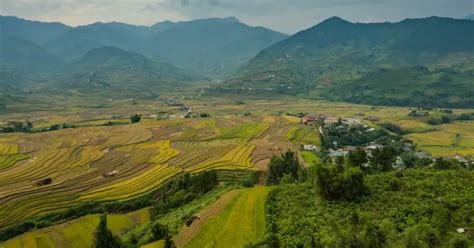 1a 몇평일까 정확한 환산 기준 알아보기 인싸이트