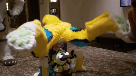 Fursuit S — Source