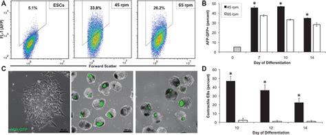 Modulation Of Visceral Endoderm And Cardiac Mesoderm Differentiation In