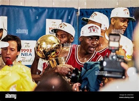 Chicago Bulls Championship Trophies Chicago Bulls Replica