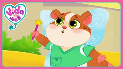 Popcorn The Tooth Fairy Compilation Vida The Vet Cartoons For