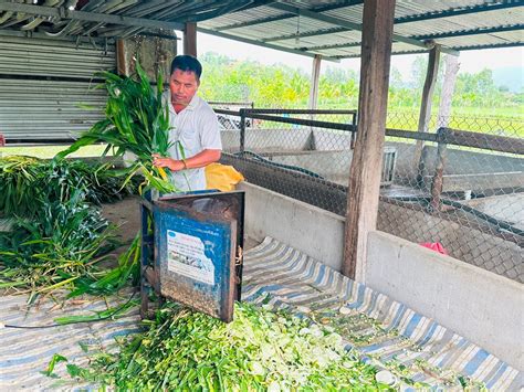 Creating Development Momentum In Phan Son Mountainous Commune