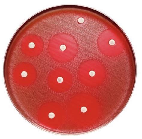 Bd Bbl™ Sensi Disc™ Antimicrobial Susceptibility Test Discs