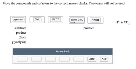 Ch 16 Sapling Flashcards Quizlet