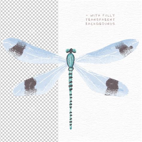 Dragonflies Set Of 24 Clip Art Files Instant Downloadable Clipart