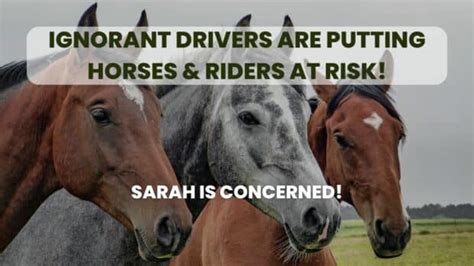 Ignorant Drivers Are Putting Horses And Riders At Risk Sarah Is