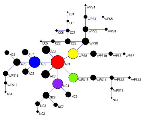 Eigenvector Centrality Download Scientific Diagram