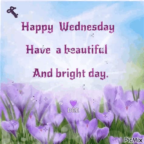 Good Morning Wednesday S