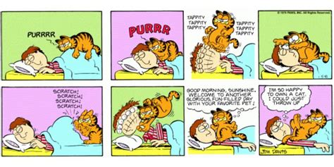 10 Funniest Garfield Comics Where Garfield Beats Up Jon
