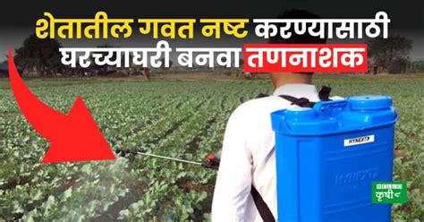 Fertilizer Management शेतातील गवत नष्ट करण्यासाठी घरच्याघरी बनवा