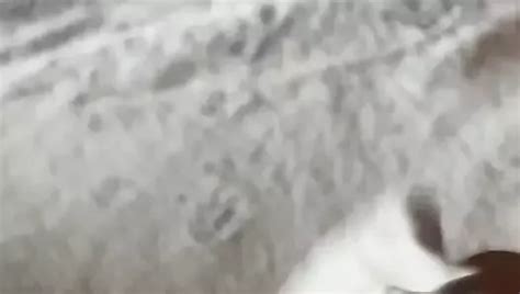 11mm Ton Teil 2 Xhamster