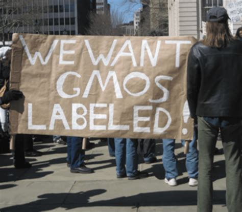 Gmo Labeling May Be More About Marketing Than Transparency Genetic Literacy Project
