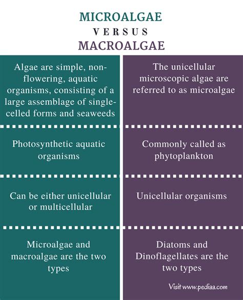Difference Between Algae And Microalgae Definition Types Features